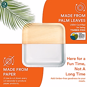 ECO SOUL Compostable 6 Inch Small Palm Leaf Round Plates (50, 6" Square Plates)