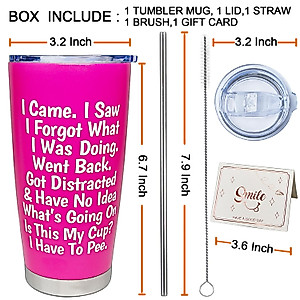 CTIGERS Funny Tumblers for Senior Citizens 20 oz Tumbler with Lid and Straw I Came I Saw Tumbler Insulated Travel Mug gifts for Grandma Grandpa Elder Mom Dad Aunt Birthday Gifts Retirement Gifts Pink