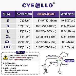 cyeollo 2 Pack Dog Sweatshirts Fleece Jacket with Reflective Stripe Pullover Stretchy Dog Sweater Soft Pet Clothes Lightweight Dog Sweaters for Small Dogs Turquoise & Grey