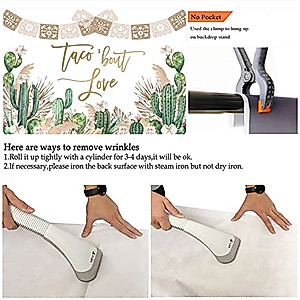 Avezano Taco Bout Love Bridal Shower Backdrop Boho Pampas Grass Bridal Shower Photography Background Fiesta Cactus Mexican Bridal Shower Bachelorette Wedding Party Decoration Photoshoot (7x5ft)