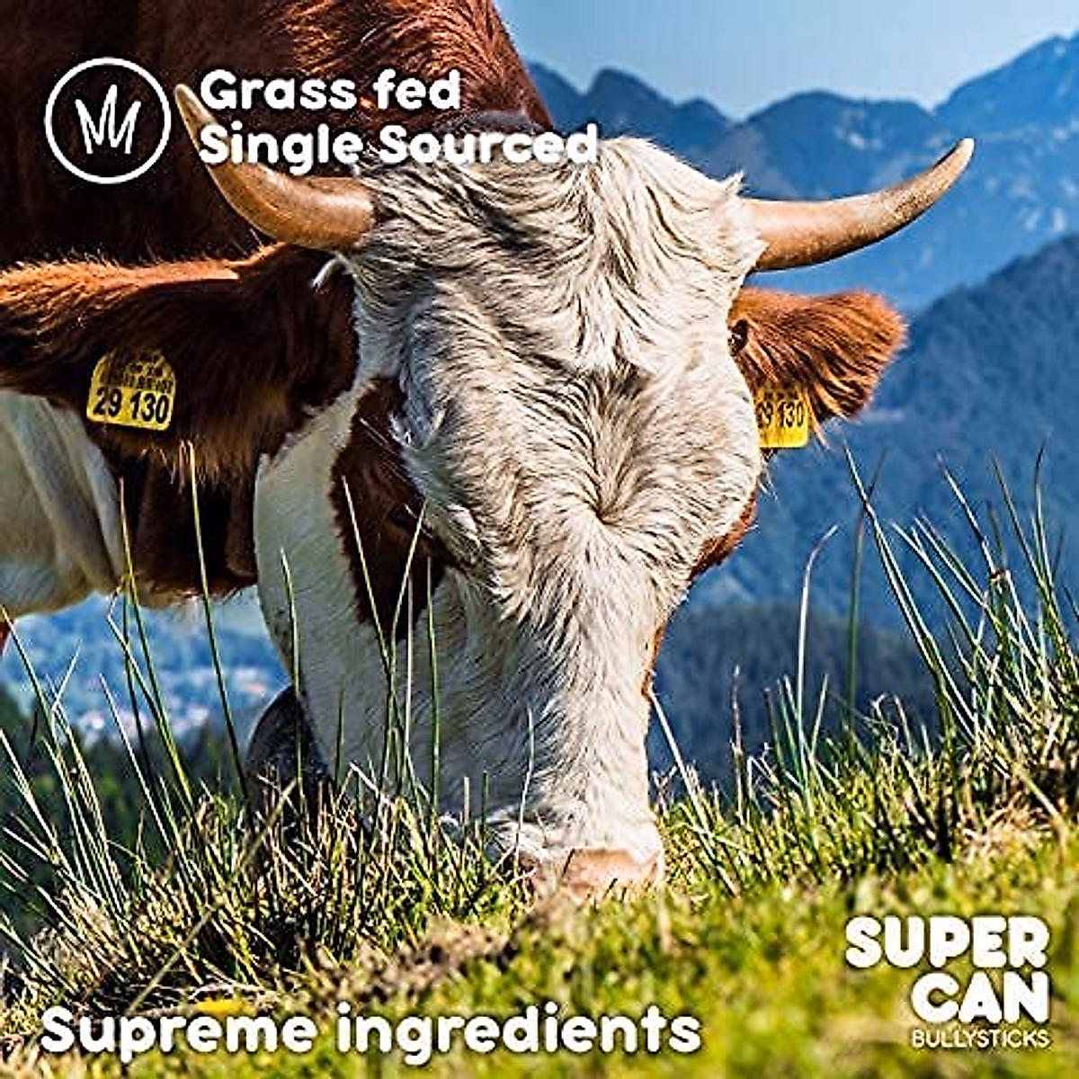 SuperCan Bully Sticks Beef Tendon Chews for Dogs (4-7 Inch Thick Sticks: 10 Count) | Natural Farm Raised Cattle Treats | Long Lasting as Bully Sticks | Promoting Healthy Joints & Hip