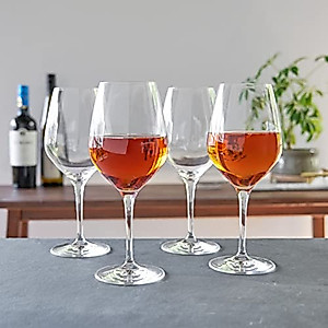 Spiegelau Glasses, Set of 4, European-Made Lead-Free Crystal, Modern Cocktail Glasses, Dishwasher Safe, Professional Quality Cocktail Glass Gift Set (Rose)
