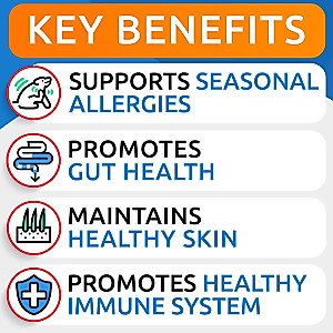 Allergy Relief + Probiotics & Digestive Enzymes for Dog - Allergies & Itchy Skin + Gut Health - Pet Diarrhea Gas Treatment, Upset Stomach Relief Pills, Digestion Health Prebiotic Supplement