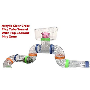 Large Clear Transparent Habitat Dwarf Syrian Hamster Rodent Gerbil Mouse Mice Critter Cage with Top Play Zone