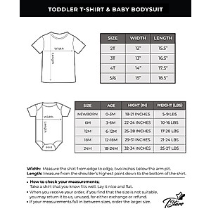 Big Bro Lil Bro Matching Outfits Baby Announcement Sibling Brother Shirts Big bro Gray 4T / Lil bro Gray/White NB (0-3M)
