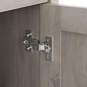 Bush Furniture Salinas Accent Storage Cabinet with Doors in Driftwood Gray