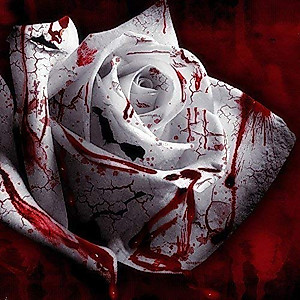 120PCS Seed Rarest White Blood Rose Plant Flower Seeds Flower Garden Asaka Rare True Blood Rose Seed…