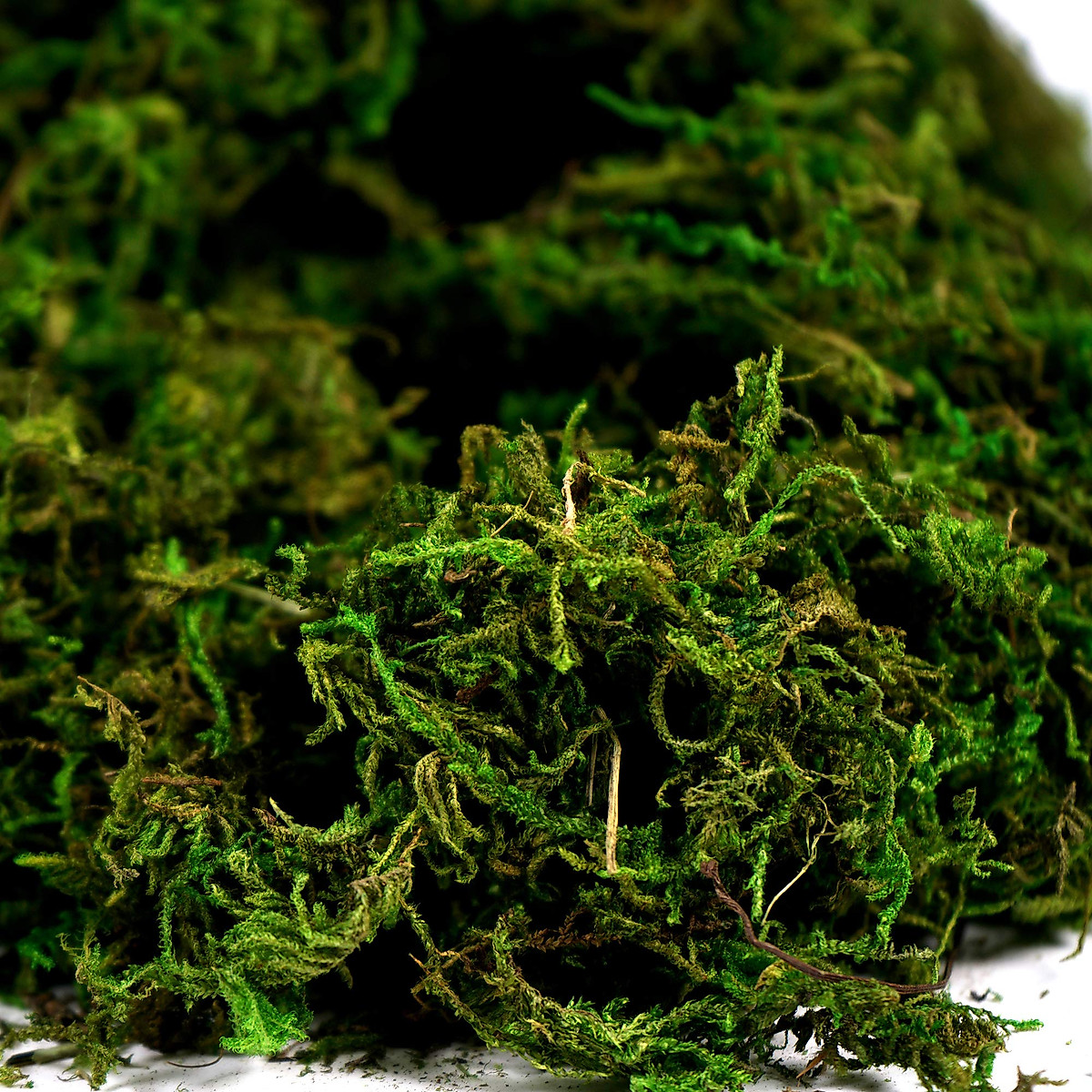 BYHER Artificial Moss Fake Green Grass for Centerpieces Home Kitchen Garden Decor (8OZ, Fresh)