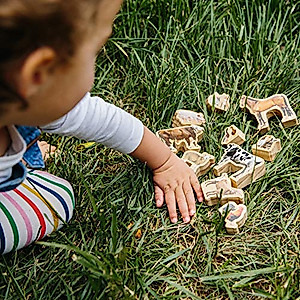 THE FRECKLED FROG My Farm Animals - Set of 10 - Ages 1+ - Wooden Blocks for Toddlers - Includes Horse, Rooster, Sheep, Cows and More - Double-Sided