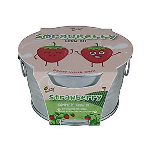 BUZZY Kids Mini Basin Seed Grow Kit | Strawberry | Kids Collection | Best Gardening Gifts, Favors, Weddings, Parties, Events, Modern, Trendy, Unique, and Fun | Growth Guaranteed