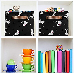WELLDAY 1PCS Storage Basket Elegant Cat Large Foldable Storage Bin Cube Collapsible Organizer
