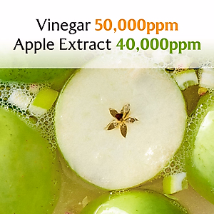 LA'DOR Apple Cider Vinegar Clarifying Treatment w/Tea Tree Sub-Acidic pH-balanced - Glossy Shine Refreshing for Greasy Dandruff Oily Scalp Hair Free of Silicone Paraben Sulfate 14.5 Fl Oz LADOR Korea