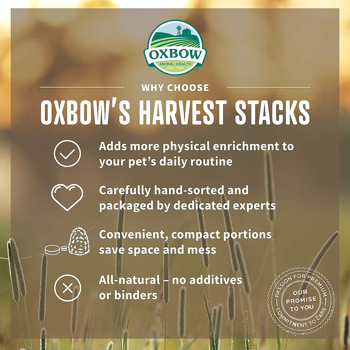 Oxbow Animal Health Harvest Hay Stacks - Western Timothy Hay with Carrots - All Natural Hay for Rabbits, Guinea Pigs, Chinchillas, Hamsters & Gerbils - 35 oz.