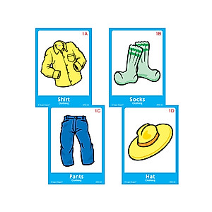 Super Duper Publications | Classifying Fun Deck Flash Cards | Educational Learning Resource for Children