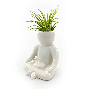 3.25 Inch White Ceramic Meditating Person Shaped Planter with Live Tillandsia Air Plant - Potted Indoor Air Plants for Home and Office Decor