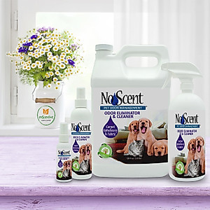 No Scent Carpet Upholstery & Fabric Furniture Spray Spot Cleaner for Wet Dog Smell, Cat Spray, Pet Odor, Urine, Poop & Secretions (32 Fl Oz / 946 mL)