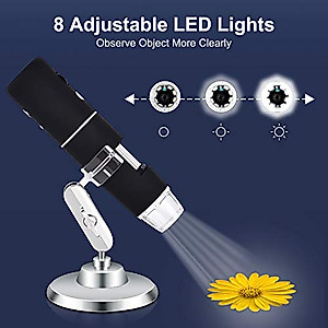 Digital Microscope Handheld USB Magnification Microscope Camera 50-1000X Zoom 1080P Mini Microscope Portable Pocket Microscope 8 Lights for Android Phone Table Windows Mac (Black)
