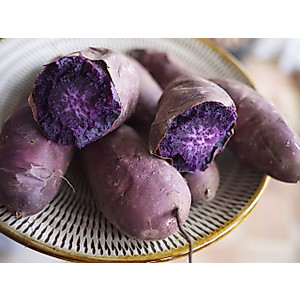 Japanese Purple Sweet Potato,(2 LBS) Eating or Planting
