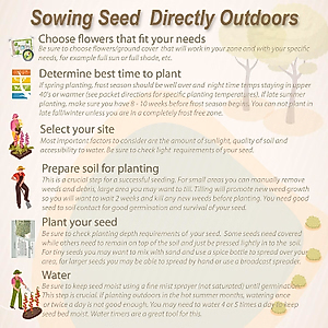 Perennial Sunflower Seeds for Planting - Plant & Grow Maximilian Sun Flowers in Your Home Outdoor Garden - 500 Non GMO Heirloom Seeds - Full Planting Packet with Instructions for Easy Grow, 1 Packet