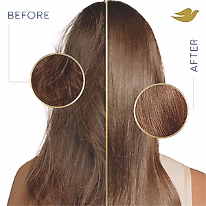 Dove Damage Therapy Derma Conditioner Dryness + Itch for Flaky Scalp with Pyrithione Zinc and Coconut Oil 12 Fl Oz