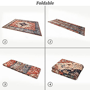 Valenrug Area Rug 5x7 - Stain Resistant Lightweight Washable Rug, Anti-Skid Rugs for Living Room, Boho Persian Area Rug(Multi, 5'x7')