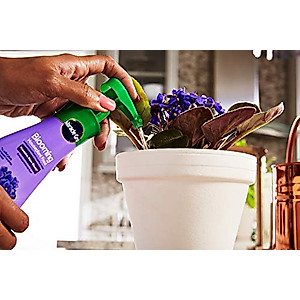 Miracle-Gro Blooming Houseplant Food, 8 oz., Plant Food Feeds All Flowering Houseplants Instantly, Including African Violets, 2 Pack