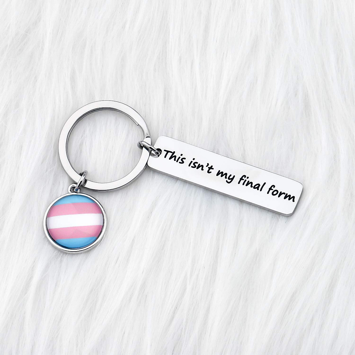 BAUNA LGBTQ Transgender Pride Key Chain Trans Flag Gift This Isn’t My Final Form Gay Pride Jewelry Gift (Transgender Keychain)