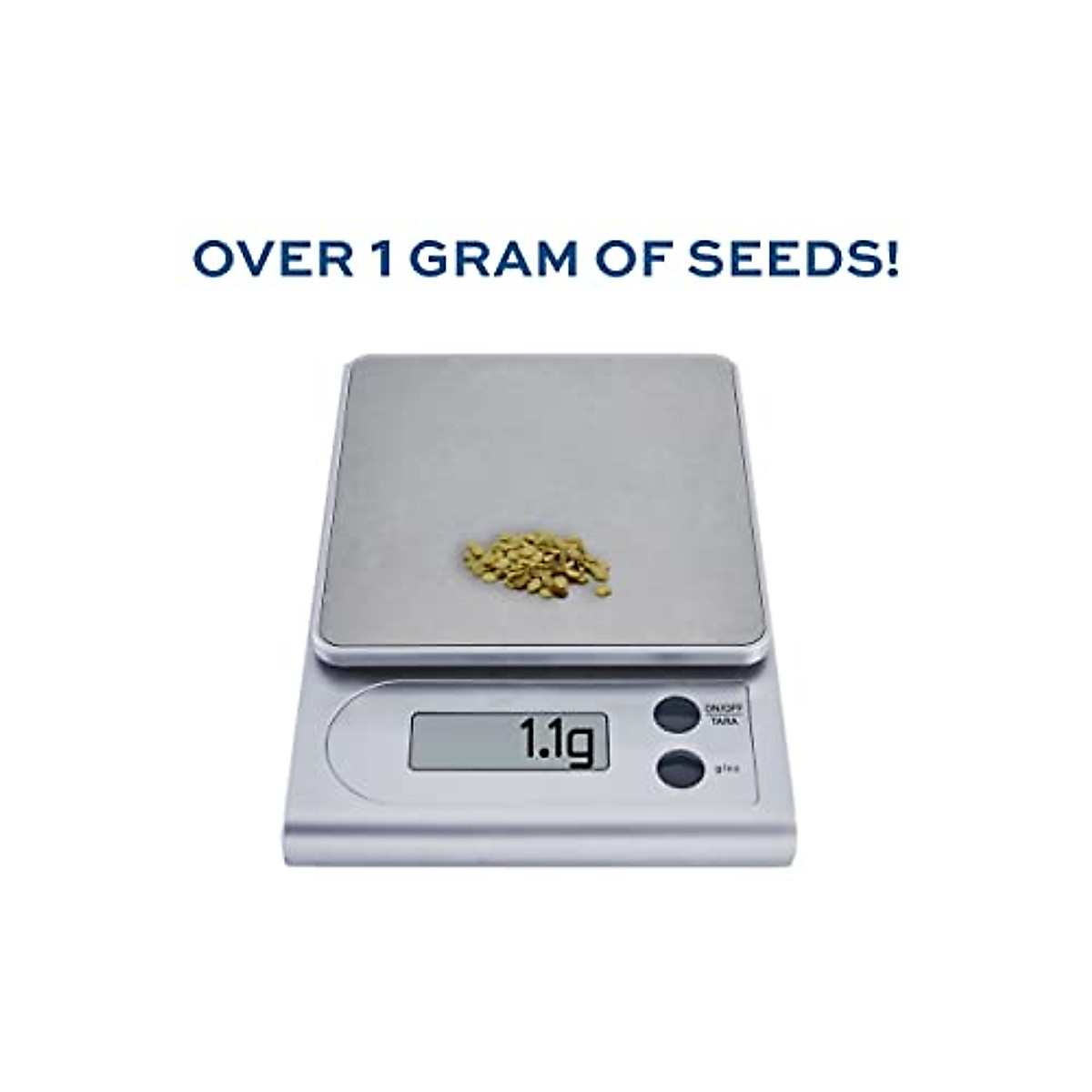 Bell Pepper Seeds for Planting - California Wonder - Heirloom Non-GMO Pepper Seeds for Planting - 100 Seeds - Sweet Pepper Matures from Green to Red by RDR Seeds