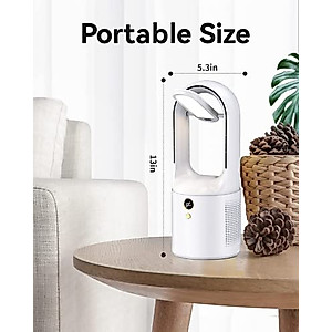 Desk Fan, 6 Speed Battery Operated Fan & Lamp 2 in 1 Bladeless Fan, Stylish 13 Inch Table Fan with LED Power Display, Type C Portable Fan with Natural Wind for Bedside Home Bedroom Office Summer Gift