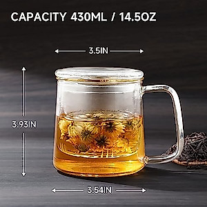 COPOTEA Glass TeaCup with Glass Infuser and Lid, 14.5oz/ 430ml Borosilicate Glass Tea Mug for Warmer Safe, Clear Teacup for Loose Leaf Tea, Blooming Tea