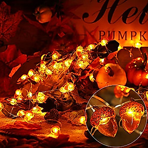 Mudder Acorn Valentine's Day Heart String Lights Decor 16.4FT 50 LEDs Heart Fairy Light Battery and USB Powered with Remote for Indoor Outdoor Wedding Party(Acorn,White)