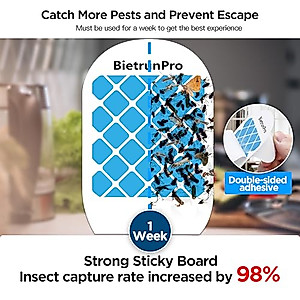 Fruit Fly Traps/Gnat Traps for Indoors(2 Devices+6 Refills), 2-in-1 UV＆Blue Light Plug-in Bug Trap, NAT Killer, Flying Insect Catcher Sticky Trap for Home House Fruit Flies, Moths, Mosquitoes, Fungus