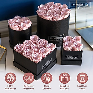 Immortal Fleur Preserved Roses In A Box, Preserved Flowers, Forever Roses Box, Mom Birthday Gifts, Flowers for Delivery Prime Birthday, Valentines Day Flowers for Wife, Pink 4