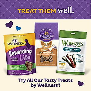 Old Mother Hubbard by Wellness Classic Original Mix Natural Dog Treats, Crunchy Oven-Baked Biscuits, Ideal for Training, Mini Size, 20 pound box