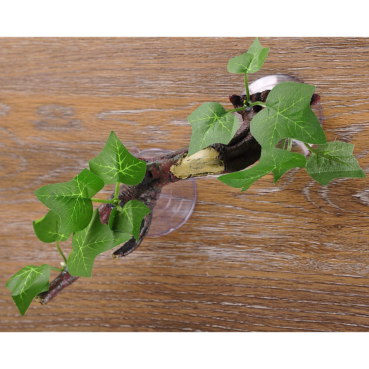 IBWell Resin Reptile Corner Branch Terrarium Plant Decoration with Suction Cup for Amphibian Lizard Snake Climbing Ornament