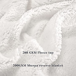 BEAUTEX Sherpa Fleece Throw Blankets, Soft Fluffy Flannel Plush Blanket and Throw, Fuzzy Cozy Grey Cuddle Blankets for Couch Bed Sofa Adults (50" x 60", Grey)