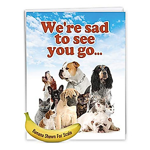 NobleWorks - Cute Group Retirement Card - Adorable Dog Office Humor, Work Retirement Greeting - Pet Coworkers J3636RTG-US