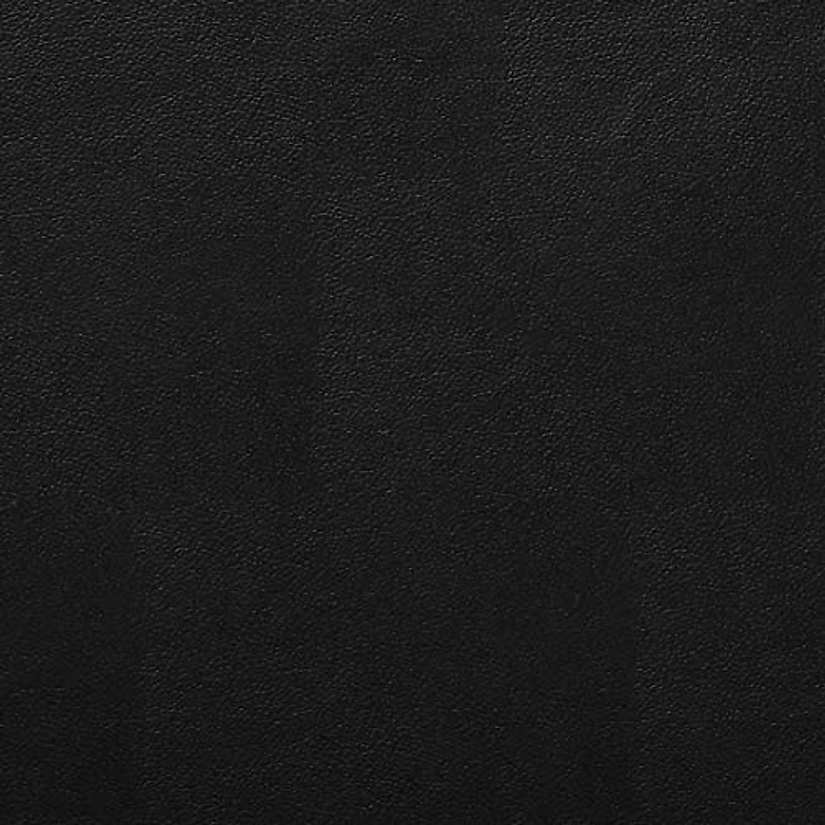 Cortesi Home Chicago Leather Sofa, 79", Black