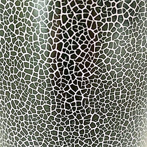 Starbucks Coffee Fall 2021 Ceramic Crackle 12 oz Tumbler