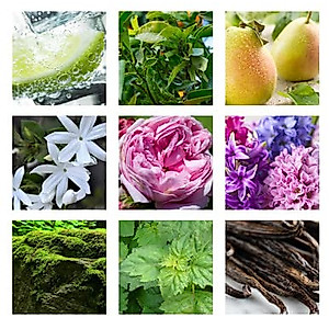 Badgley Mischka Forest Noir Eau de Parfum, 3.4 Fl Oz