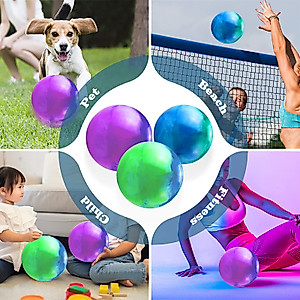 WYOMER 3 Pack 10-inch Marbleized Bouncy Balls Outdoor Playballs Colorful Bouncy Toys Balls Cloud Bouncing Balls with Pump