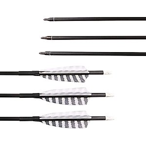 Huntingdoor 31 Inch Hunting Carbon Arrows, Replaceable Points Tips Arrows with 4 Inch Real Feather Fletching,400 Spine Targeting Arrows for Recurve Bow Longbow Practice White (Pack of 6)