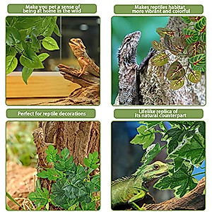 PINVNBY Reptile Terrarium Plants Hanging Artificial Lizards Habitat Climbing Decorations with Suction Cup Pets Tank Fake Green Plastic Ornament for Amphibians Bearded Dragons 6PCS