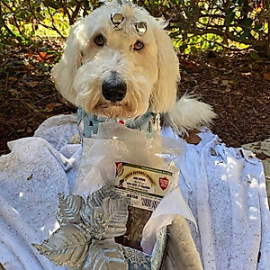 Green Butterfly Brands Dog Chews – Beef Trachea Dog Treat Chew Made in USA. Grass Fed Farm-Raised American Beef. Glucosamine Rich for Healthy Joints. All Natural Dental Chew (3" 4 PCS)