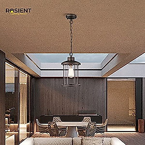 Rosient Outdoor Pendant Light, 1-Light Exterior Hanging Lantern Light Fixtures, Hanging Sconces Porch Lights with Oil Rubbed Bronze Finish