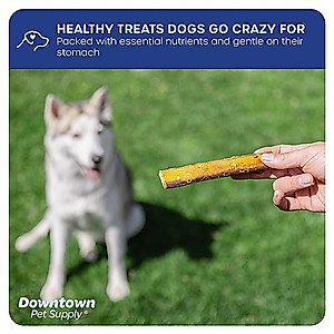 Downtown Pet Supply 6 inch Bully Sticks for Large Dogs, 5 Pack of Jumbo Extra Thick Treats for Aggressive Chewers, Single Ingredient, Rawhide-Free Long Lasting Dental Chews for Big and Medium Dogs