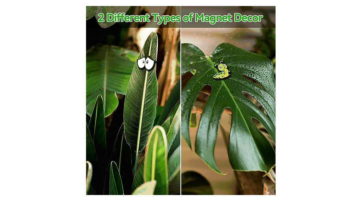 Cute Magnetic Plant Eyes Set - 8pcs Decoration & Gift for Plants