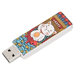 Flash Drive, Portable USB 2.0 Flash Drive with Cute Cat Pattern, Thumb Drives Memory Stick Data Storage Pen Drive for Computer Laptop(128GB)