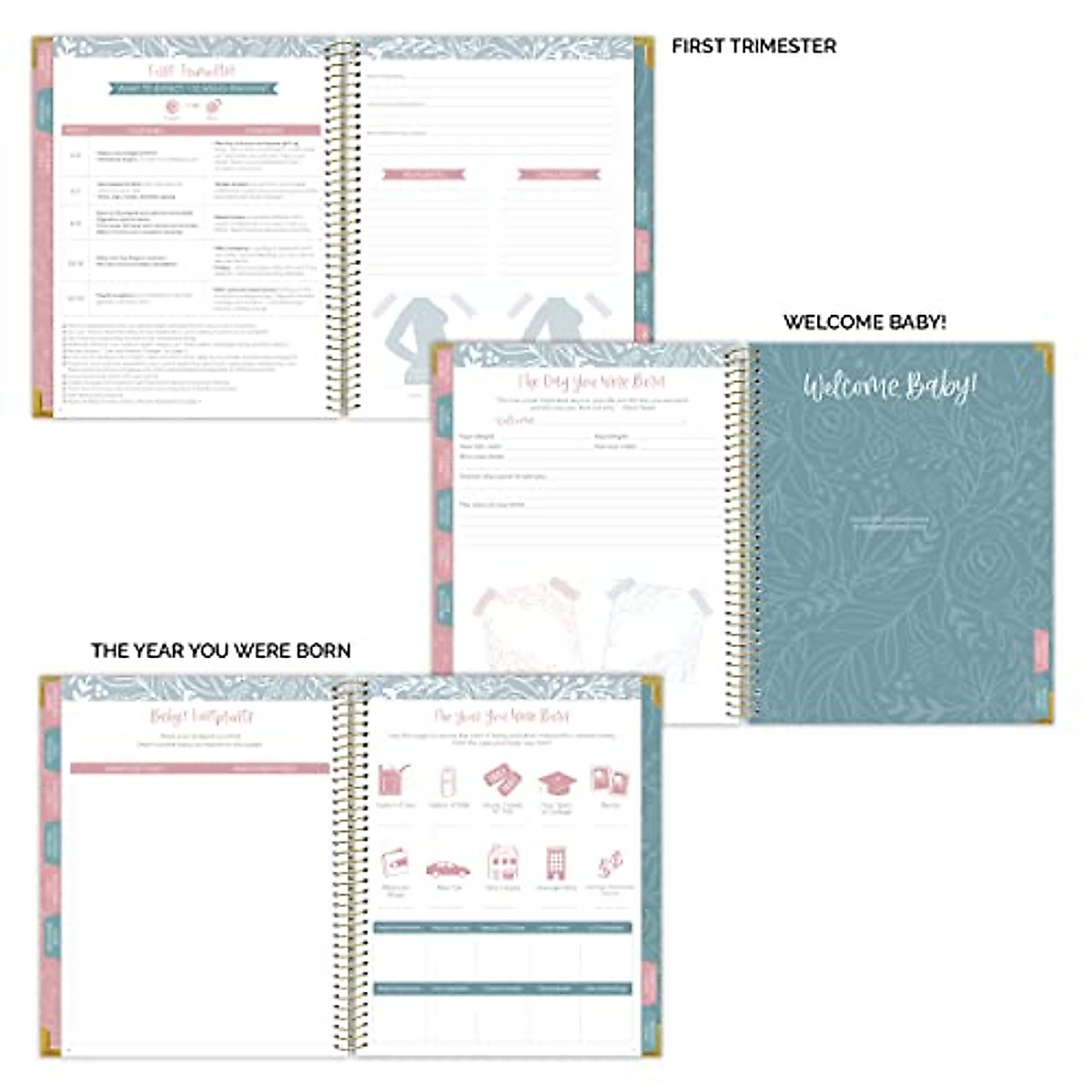 bloom daily planners New Pregnancy and Baby's First Year Calendar Planner & Keepsake Journal with Stickers - Hardcover Scrapbook Memory Book Organizer - (Undated) 8” x 10" - The Story of You