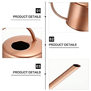 Watering can Spout Watering Pot Plant misting Water Bottle Kids Watering Spray Bottle Water Pitcher for Plants Kettle with Long Spout Child Outdoor Stainless Steel Succulent Plants